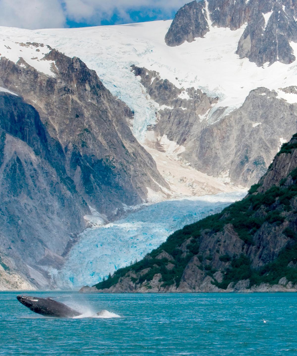 Resor till Alaska - Åk på semester till Alaska med USA Tours